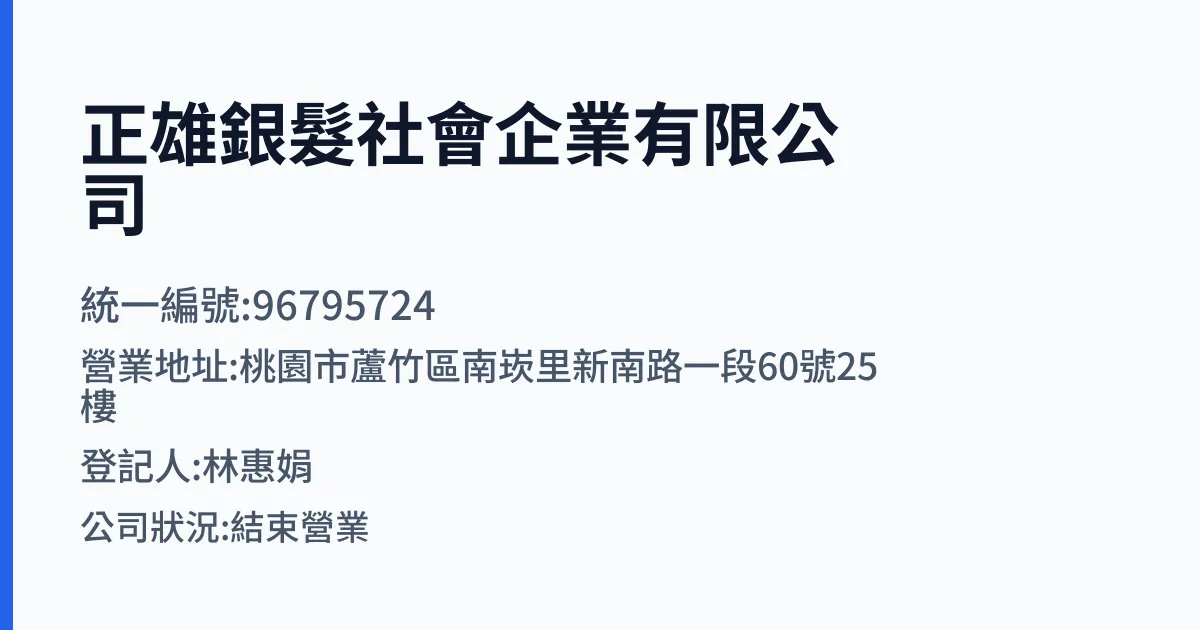 正雄銀髮社會企業有限公司 - 統編 96795724(桃園市) 公司登記資料與營業項目詳細圖表