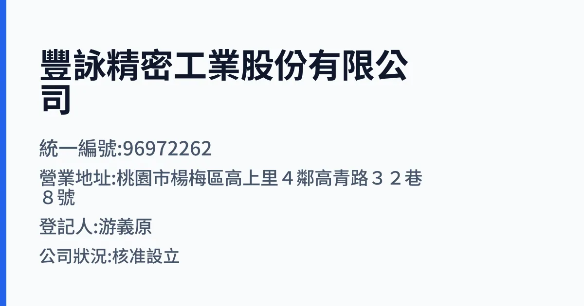 豐詠精密工業股份有限公司 - 統編 96972262(桃園市) 公司登記資料與營業項目詳細圖表