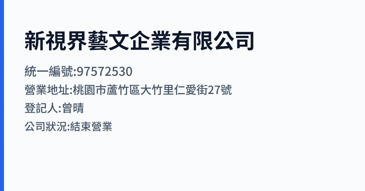 新視界藝文企業有限公司 - 統編 97572530(桃園市) 公司登記資料與營業項目詳細圖表