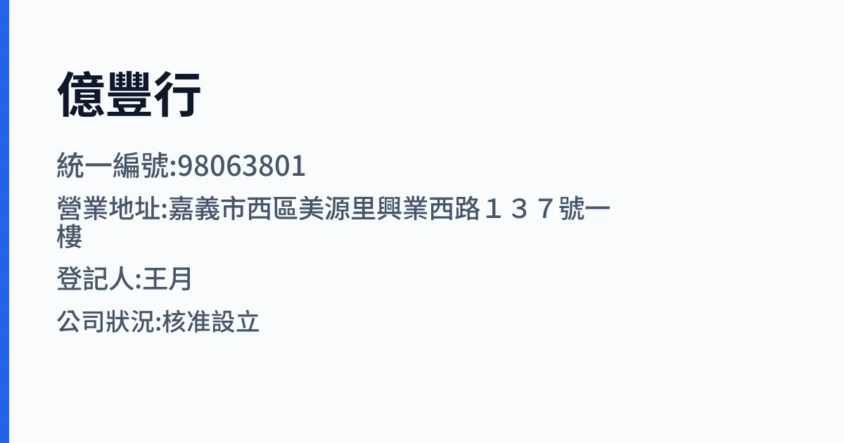 億豐行 - 統編 98063801(嘉義市) 公司登記資料與營業項目詳細圖表