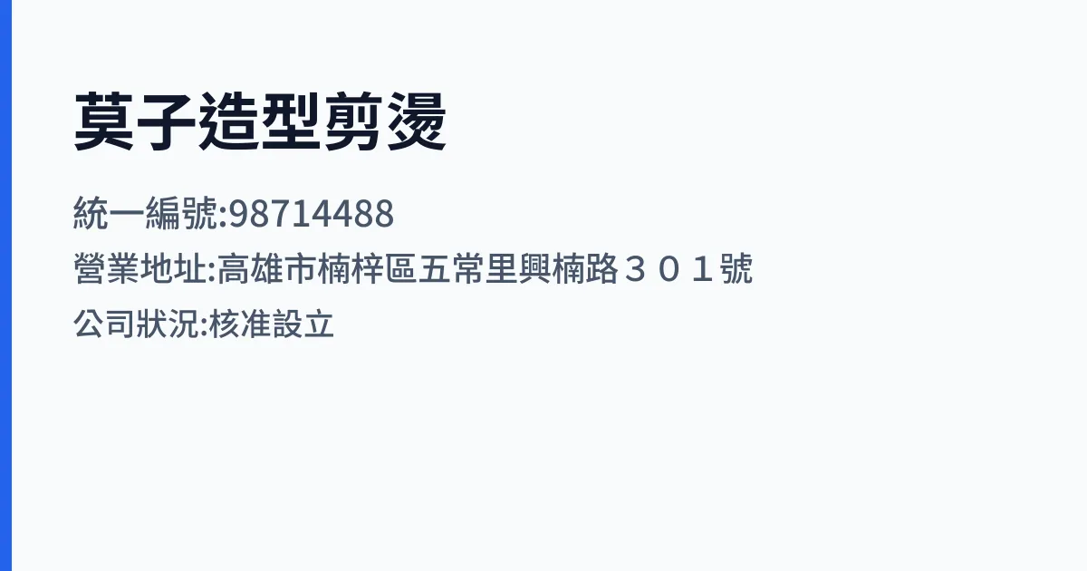 莫子造型剪燙 - 統編 98714488(高雄市) 公司登記資料與營業項目詳細圖表