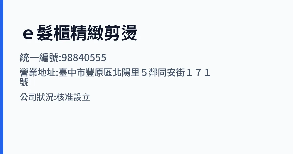 e髮櫃精緻剪燙 - 統編 98840555(臺中市) 公司登記資料與營業項目詳細圖表