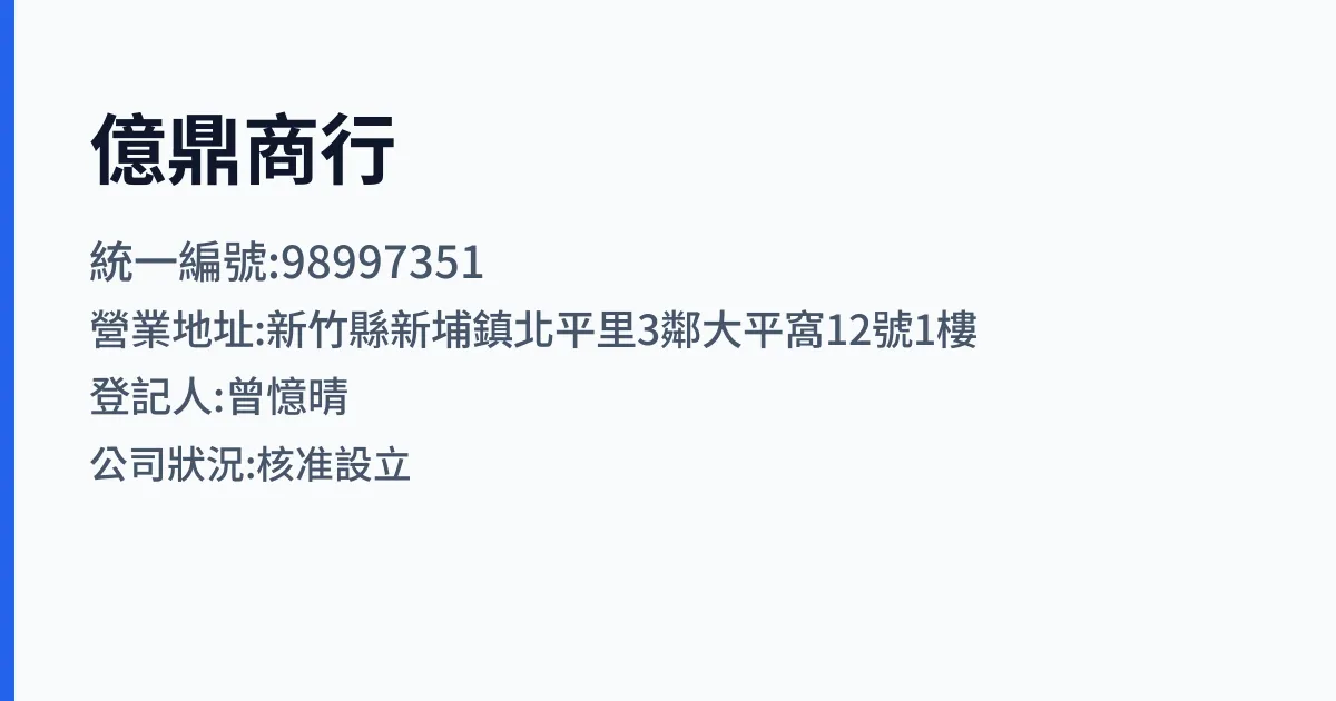 億鼎商行 - 統編 98997351(新竹縣) 公司登記資料與營業項目詳細圖表