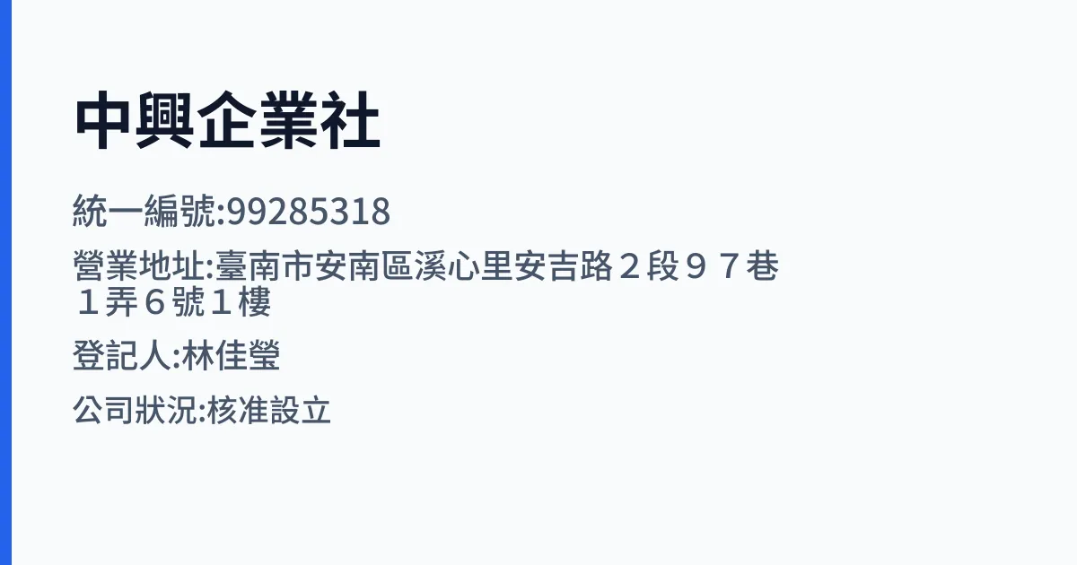 中興企業社 - 統編 99285318(臺南市) 公司登記資料與營業項目詳細圖表