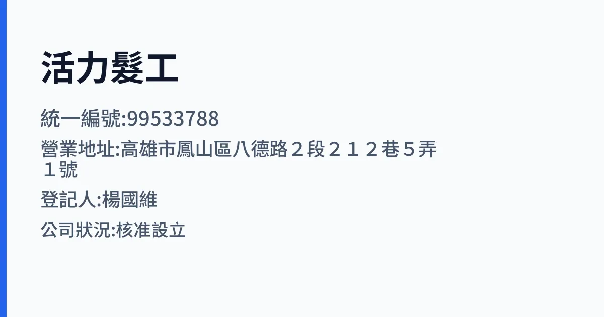 活力髮工 - 統編 99533788(高雄市) 公司登記資料與營業項目詳細圖表