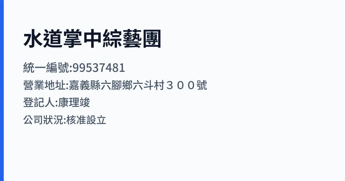 水道掌中綜藝團 - 統編 99537481（嘉義縣） 公司登記資料與營業項目詳細圖表